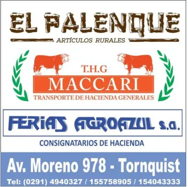 Cuatro gimnastas de Terra Gym participaron del segundo Torneo Regional ...